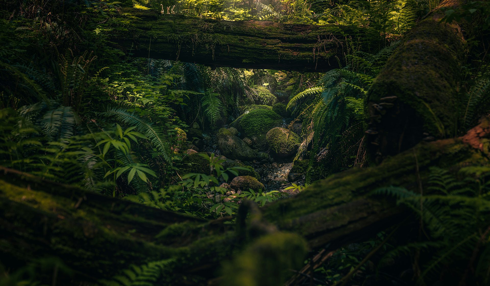 Case Studies / Envetec